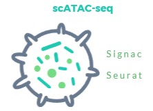 Biomedical HPC+AI Platform